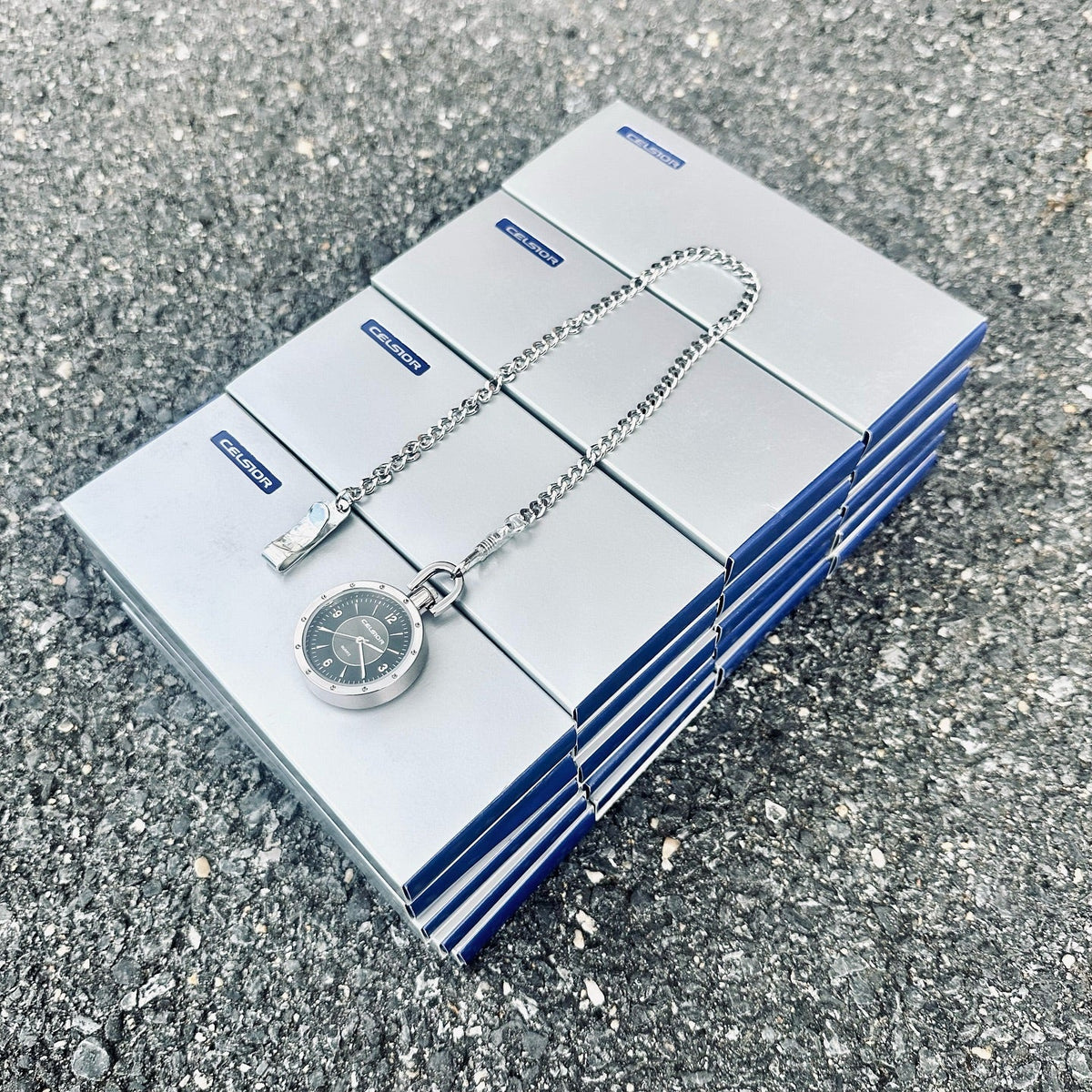 Celsior Pocket Watch – PETERSCARPARTS